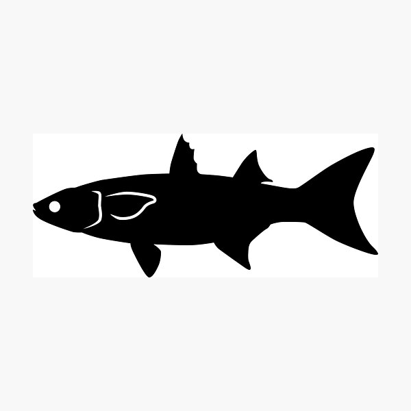 "Mullet Fish Silhouette (Black)" Photographic Print for Sale by ...