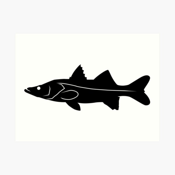 "Snook Fish Silhouette (Black)" Art Print for Sale by SandpiperDesign ...