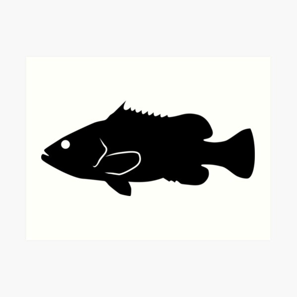 "Warsaw Grouper Fish Silhouette (Black)" Art Print by SandpiperDesign ...