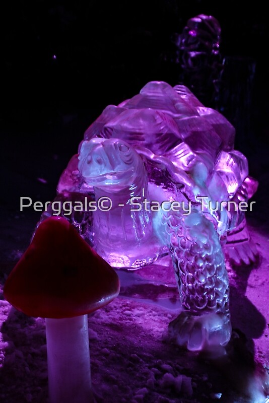 "ice tortoise" by Perggals© - Stacey Turner | Redbubble
