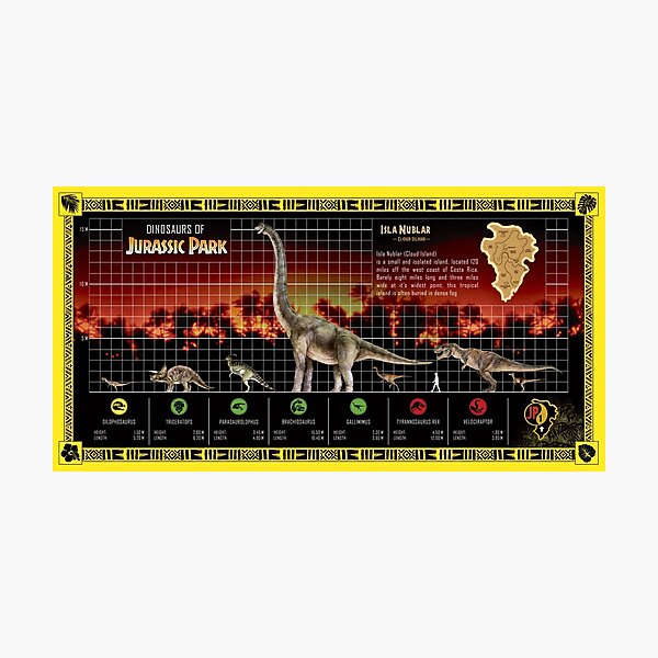 "Dinosaurs size chart" Photographic Print for Sale by jurassicdesign ...
