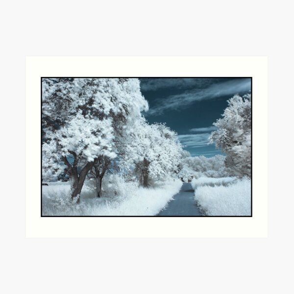 "Snow" Art Print for Sale by angelihrig | Redbubble
