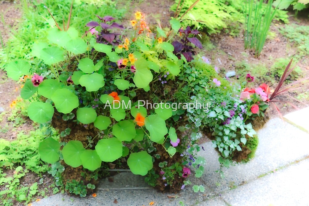 "Decorative Flower Moose" by ADM Photography | Redbubble