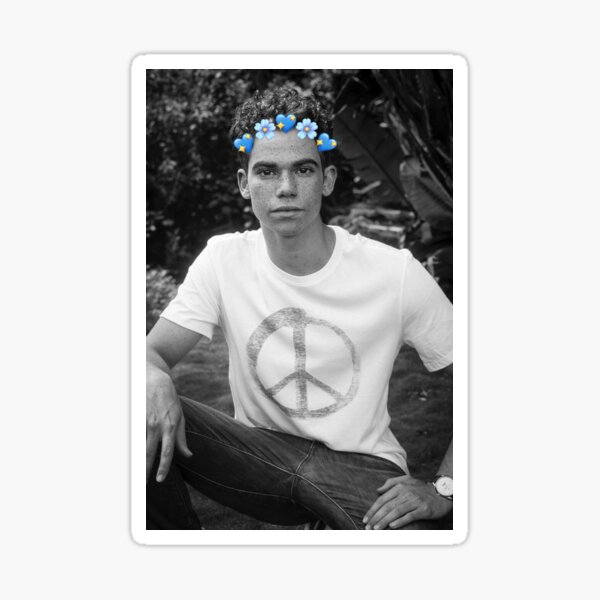 "Rest in Peace Cameron Boyce" Sticker by aprilfoolsyou | Redbubble
