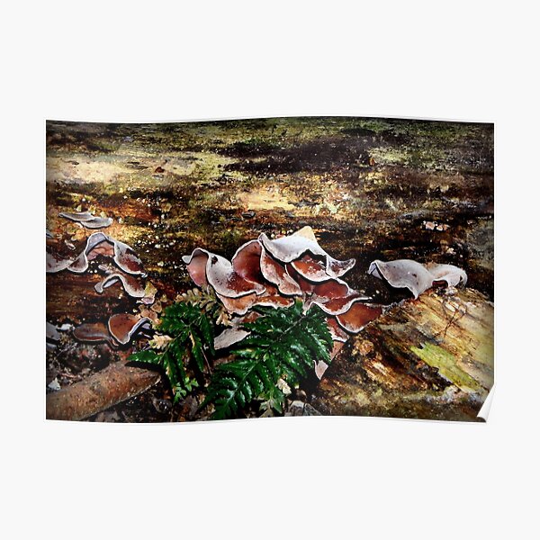 "A Black Snake, Leeches and lots of Fungi" Poster for Sale by myraj ...