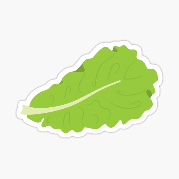 "Fresh Lettuce Leaf" Sticker for Sale by 13sparrows | Redbubble