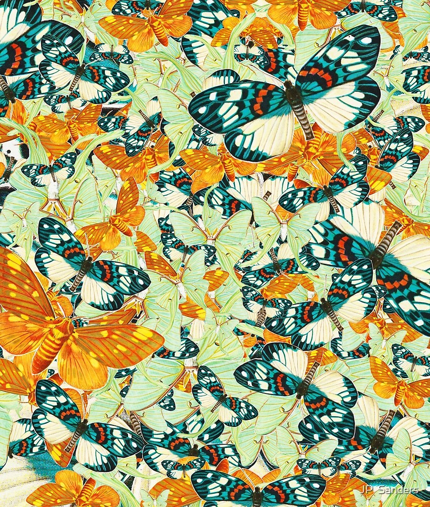 "coloured butterfly skin pattern" by John-Paul Sanders | Redbubble