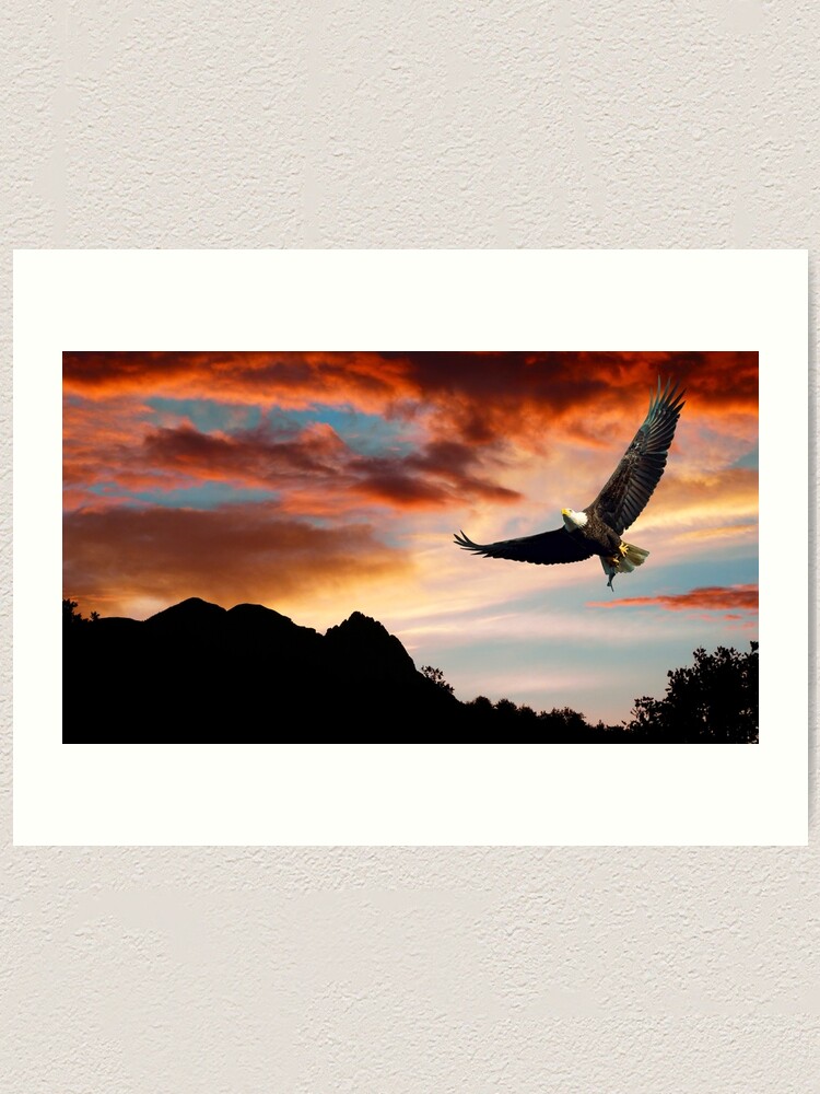 "EAGLE DAWN" Art Print for Sale by Daniel-Hagerman | Redbubble