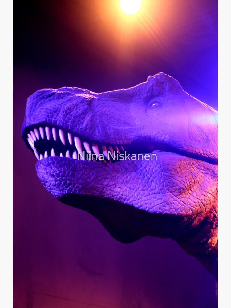 "T-Rex Disco King Purple and Pink Lights " Sticker for Sale by ...