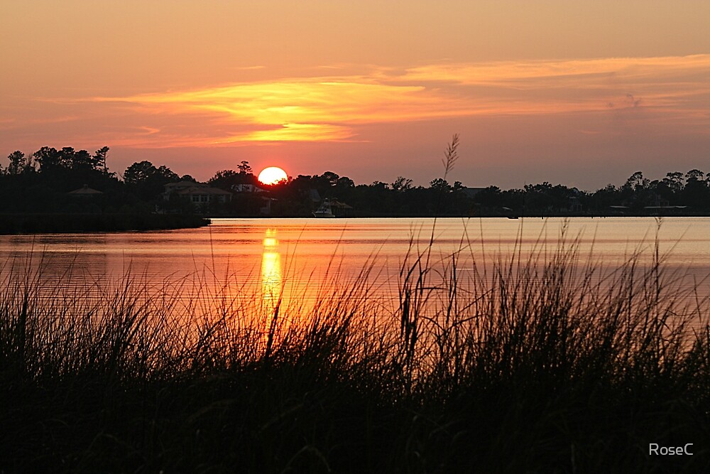 "Sunset on the Bayou" by RoseC | Redbubble