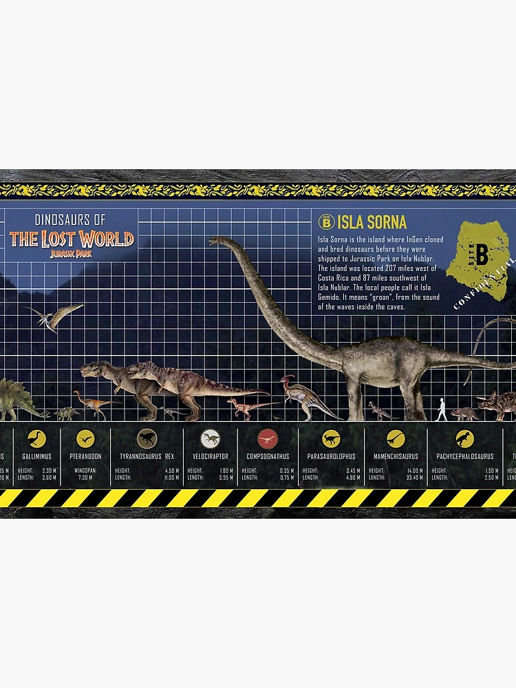 Dinosaur Size Chart