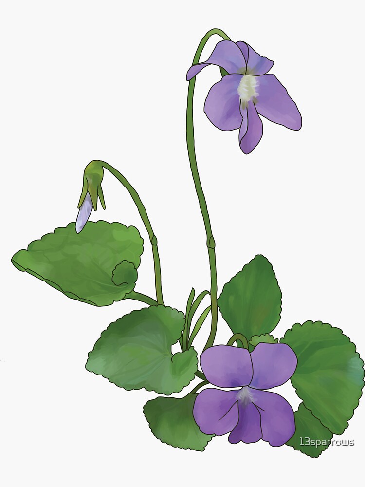 "Wild Violet" Sticker for Sale by 13sparrows | Redbubble