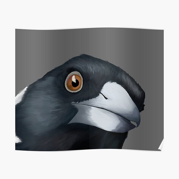 "Magpie Face" Poster by DILLIGAFM8 | Redbubble