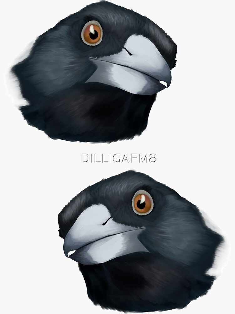 "Magpie Face" Sticker by DILLIGAFM8 | Redbubble