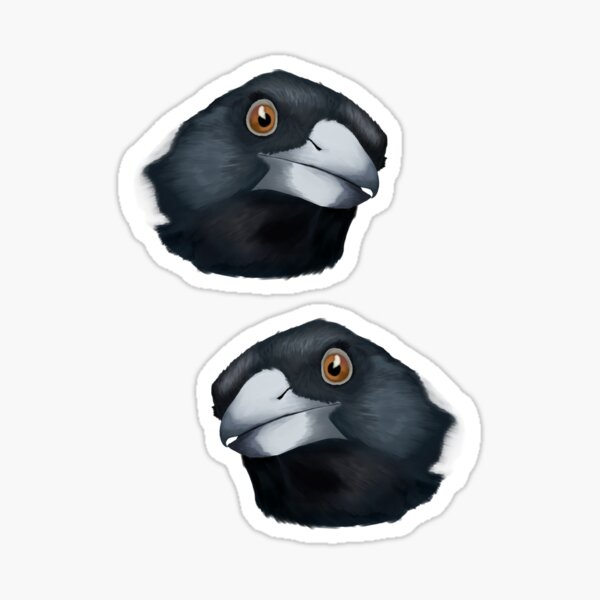 "Magpie Face" Sticker by DILLIGAFM8 | Redbubble