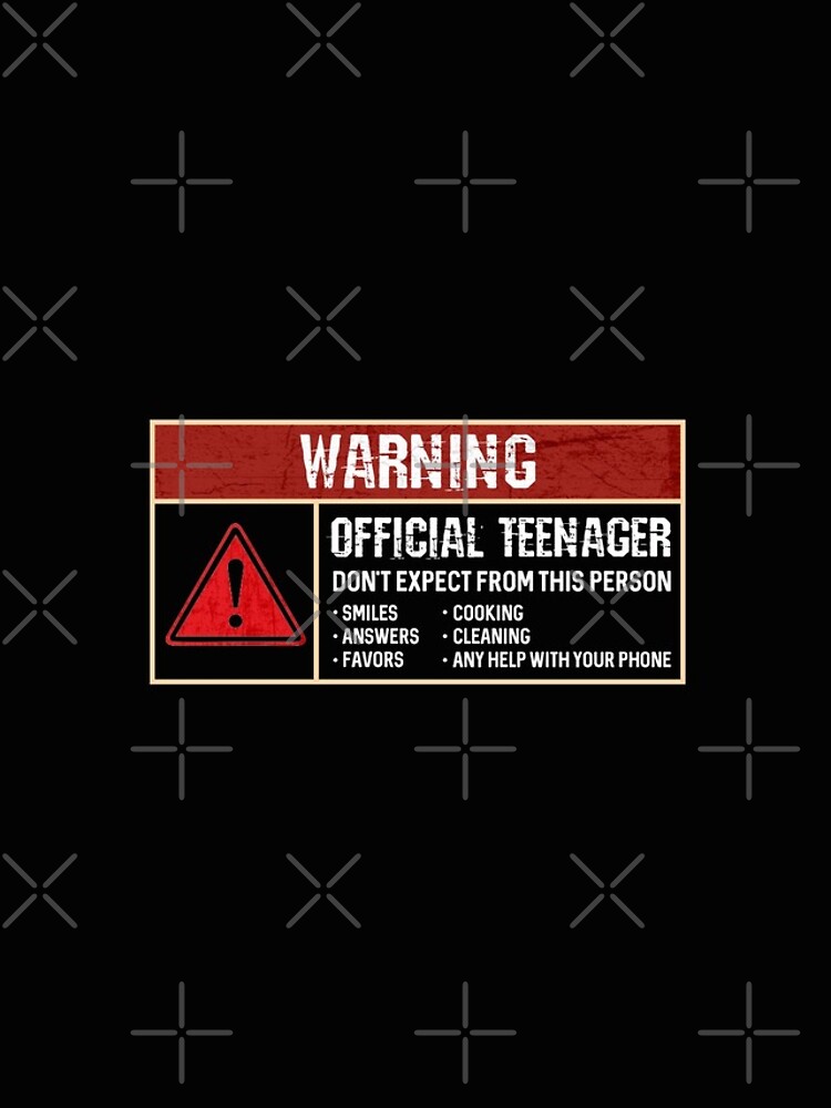 "Warning Sign It's Official Teenager Funny Humor 13th Birthday Gifts ...