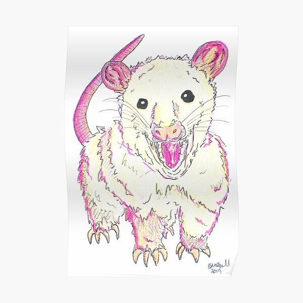 "Neon Opossum" Poster by ArtByAlisonLove | Redbubble