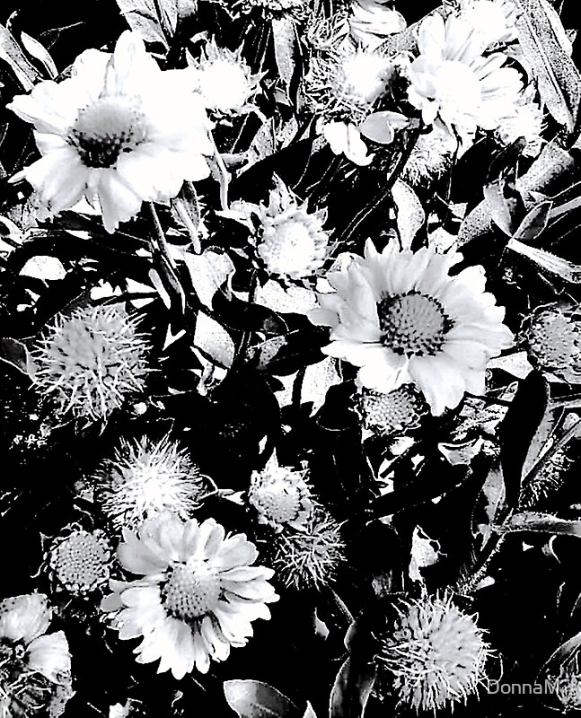 "BnW Floral" by DonnaM | Redbubble
