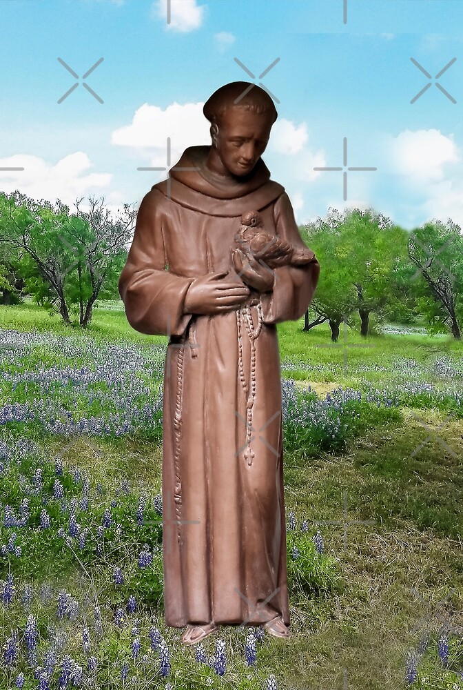 "St. Francis of Assisi, Patron Saint of Birds, In the Garden " by ...