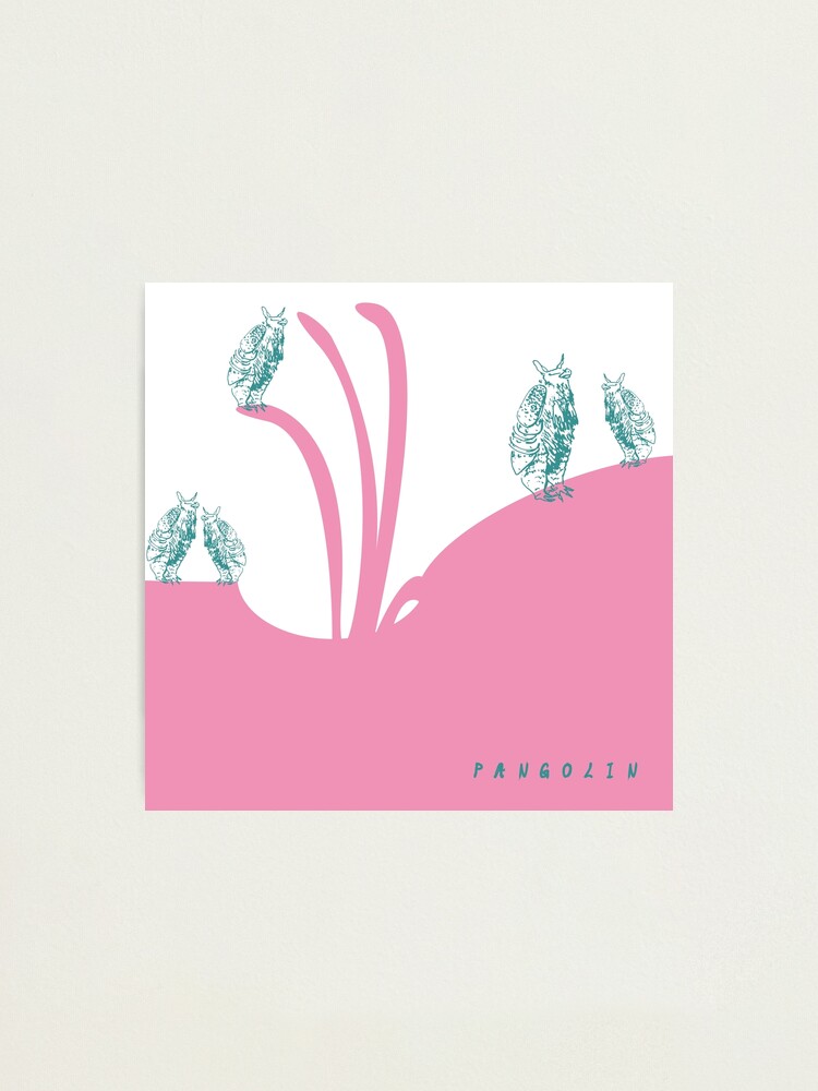 "(Wild Pink) 'Pangolin' / Armadillo Zeichnung von Hannah Stringer ...