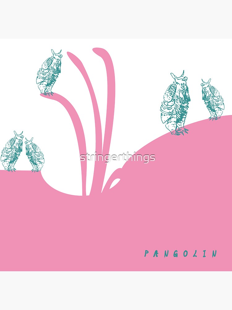 "(Wild Pink) 'Pangolin' / Armadillo Drawing by Hannah Stringer ...