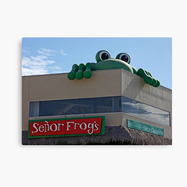 Senor Frog Gifts & Merchandise | Redbubble