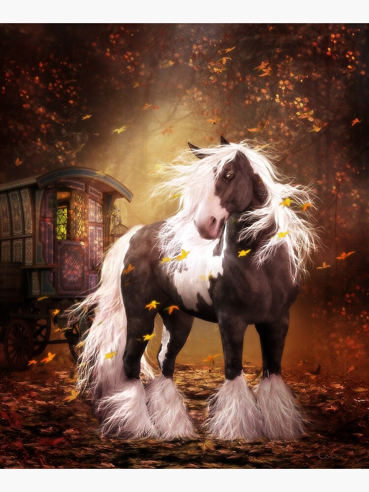 "Gypsy Gold - Gypsy Vanner horse" Art Print for Sale by Allegra | Redbubble