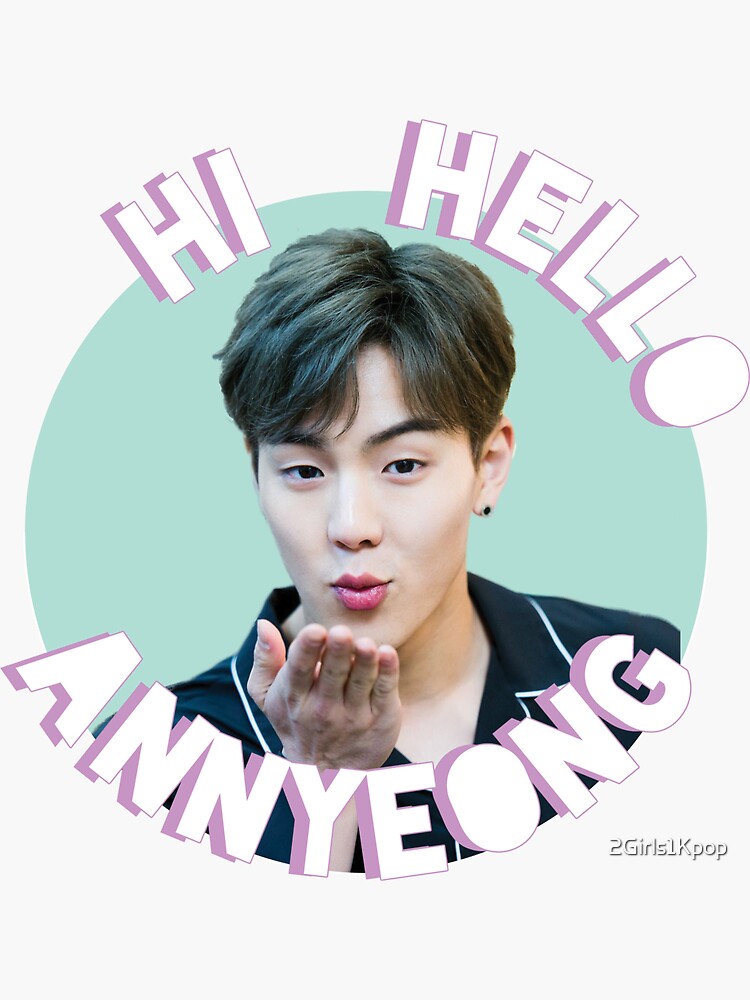 "Hi Hello Annyeong" Sticker for Sale by 2Girls1Kpop | Redbubble