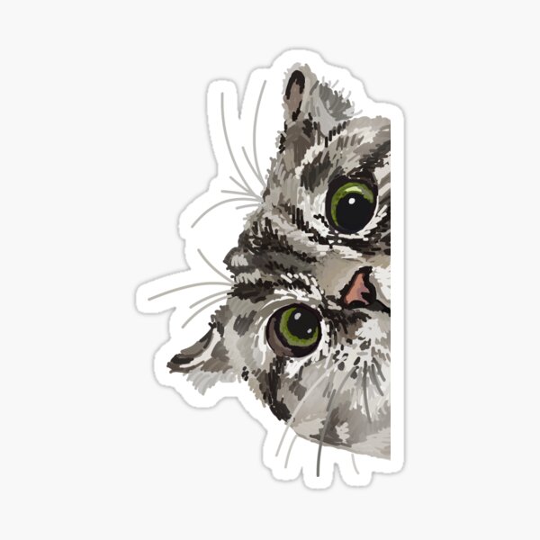 Tabby Cat Stickers | Redbubble