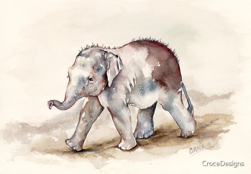 "Young Mali the Elephant Strides Out" by CroceDesigns | Redbubble