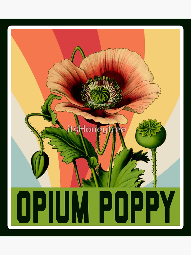 "Opium Poppy Flower Retro" Sticker by itsHoneytree | Redbubble