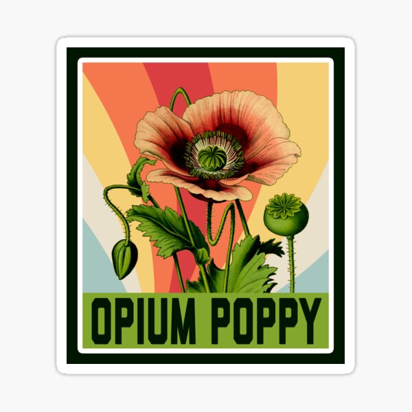 "Opium Poppy Flower Retro" Sticker by itsHoneytree | Redbubble