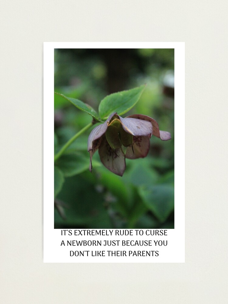 "Es ist extrem unhöflich, ein Neugeborenes zu verfluchen, nur weil Sie ...