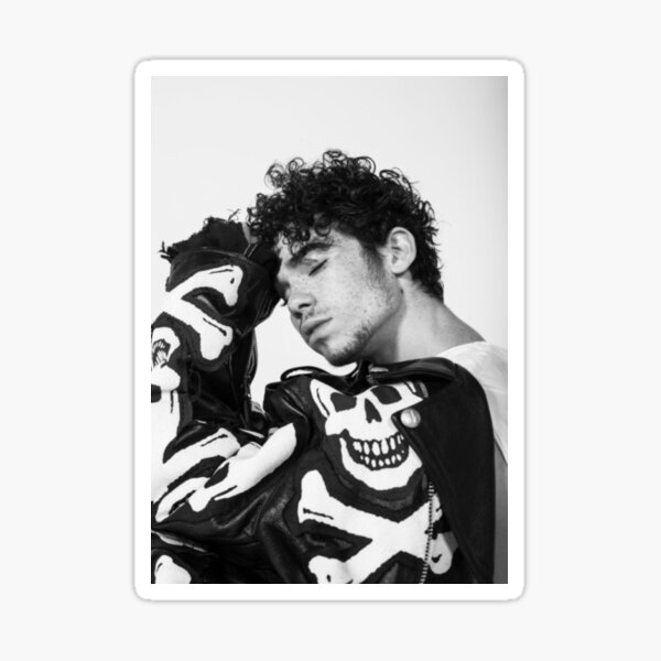 "Cameron Boyce" Sticker by alessiacara | Redbubble