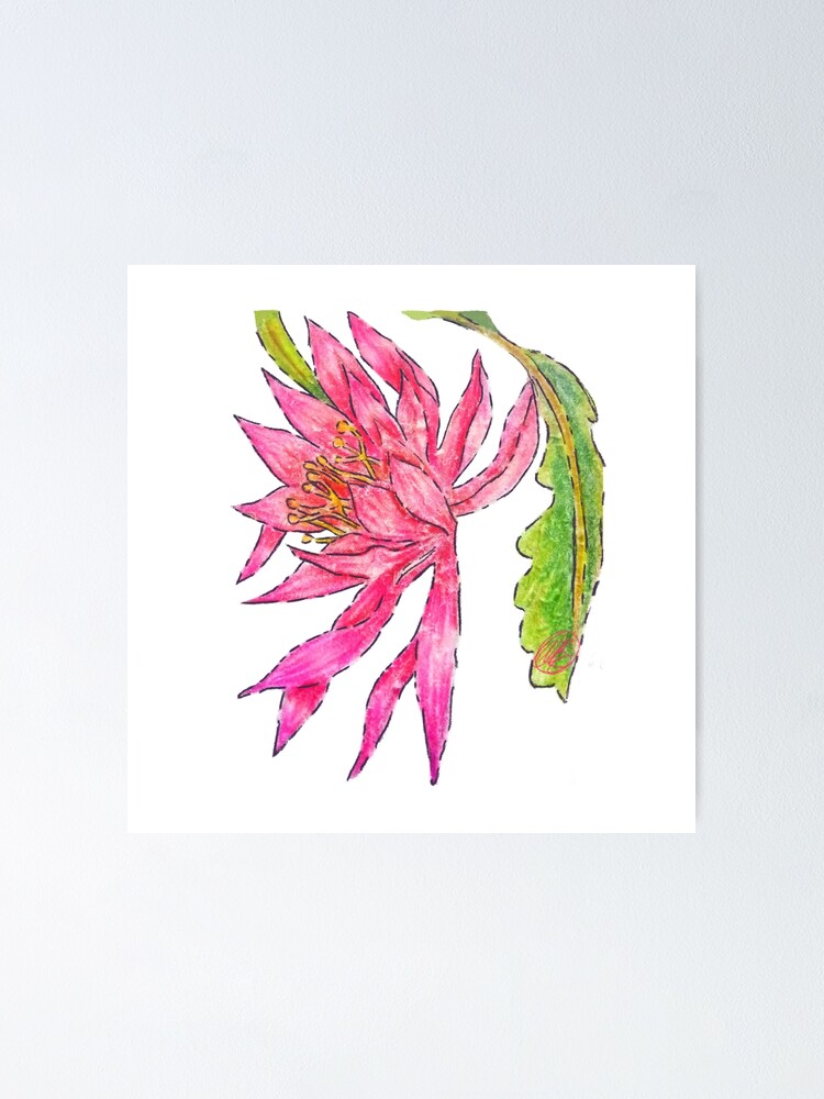 "Pink Flower Pencil Drawing" Poster by AmberStarz | Redbubble