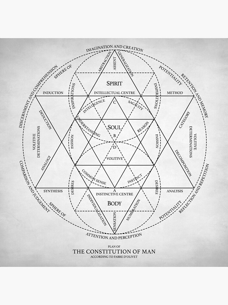 "Plan Of Constitution Of Man" Photographic Print by innasoyturk | Redbubble