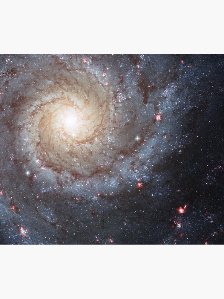 "Galaxy m74 - Hubble Images" Canvas Print by IndieWorks | Redbubble