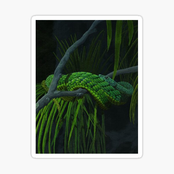 "Green Mamba" Sticker by laurenpenney | Redbubble