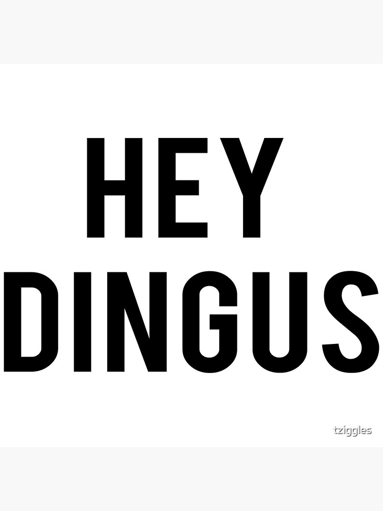 "Hey dingus - Robin - inspired by Stranger Things, Netflix" Poster for ...