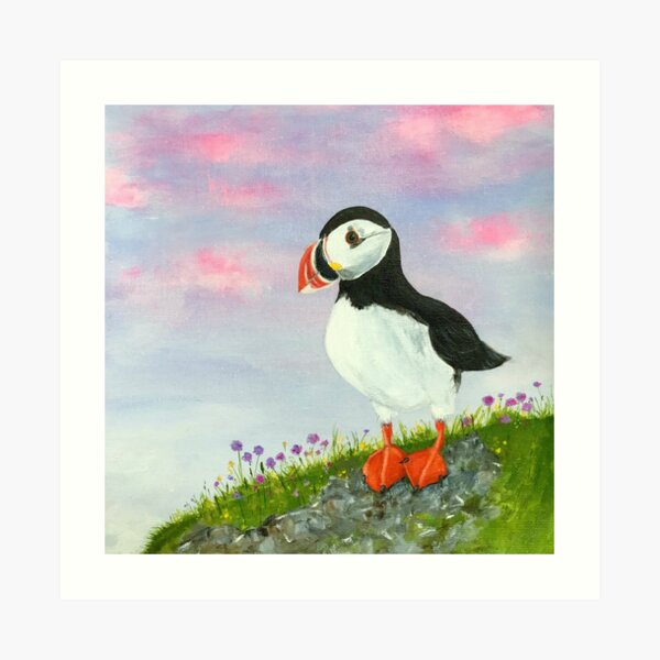 "Cute little Puffin" Art Print for Sale by Amazingraceart | Redbubble