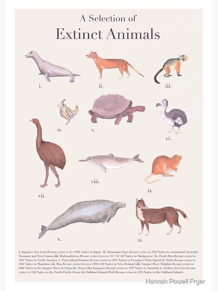 "Extinct Animals" Poster by hpillustration | Redbubble