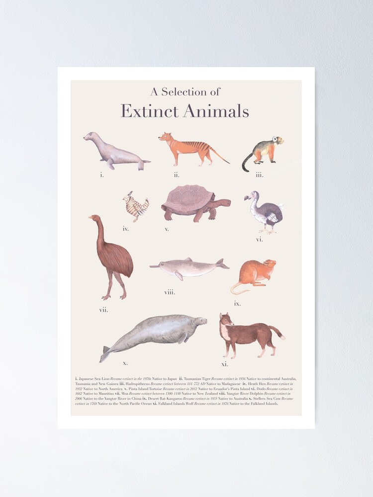 "Extinct Animals" Poster by hpillustration | Redbubble