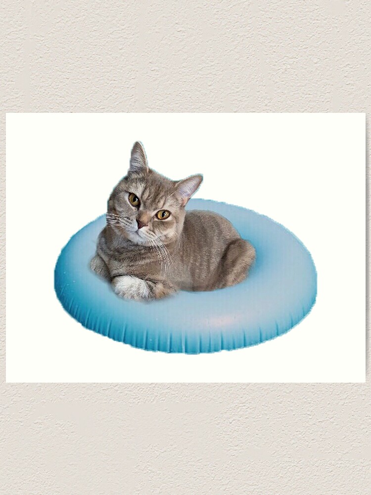 "Floating Cat - Summer - Meme" Art Print for Sale by Doide | Redbubble
