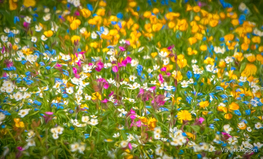 "Spring Alpine Meadow" by Viv Thompson | Redbubble