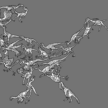 "Maniraptors (Raptors) - Evolution " Sticker for Sale by ...