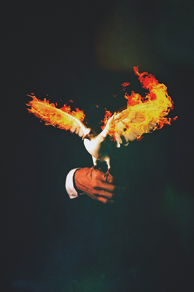 "The Trick" by seamless | Redbubble