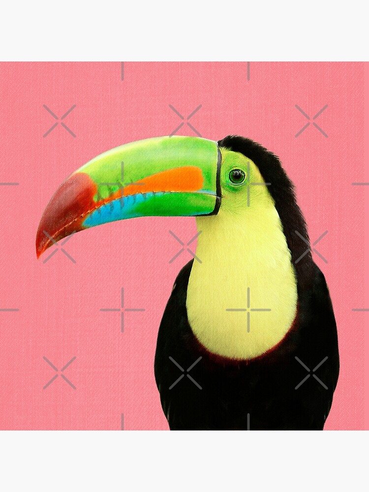 Pink Toucan