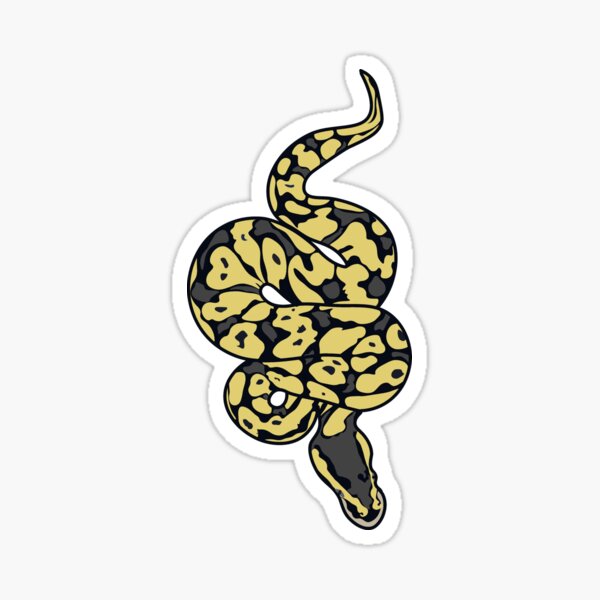 "Baby Ball Python Pastel Snake Lover Pastel Yellowbelly Cute Noodle ...