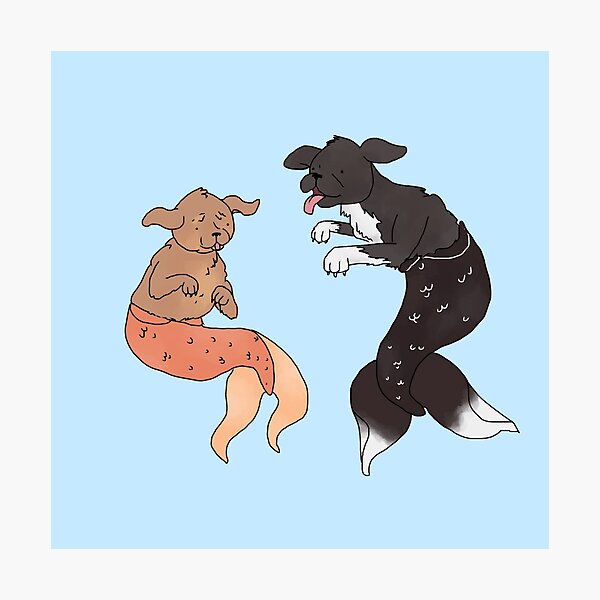 Merdogs Wall Art | Redbubble