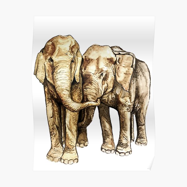 Gajah Posters | Redbubble